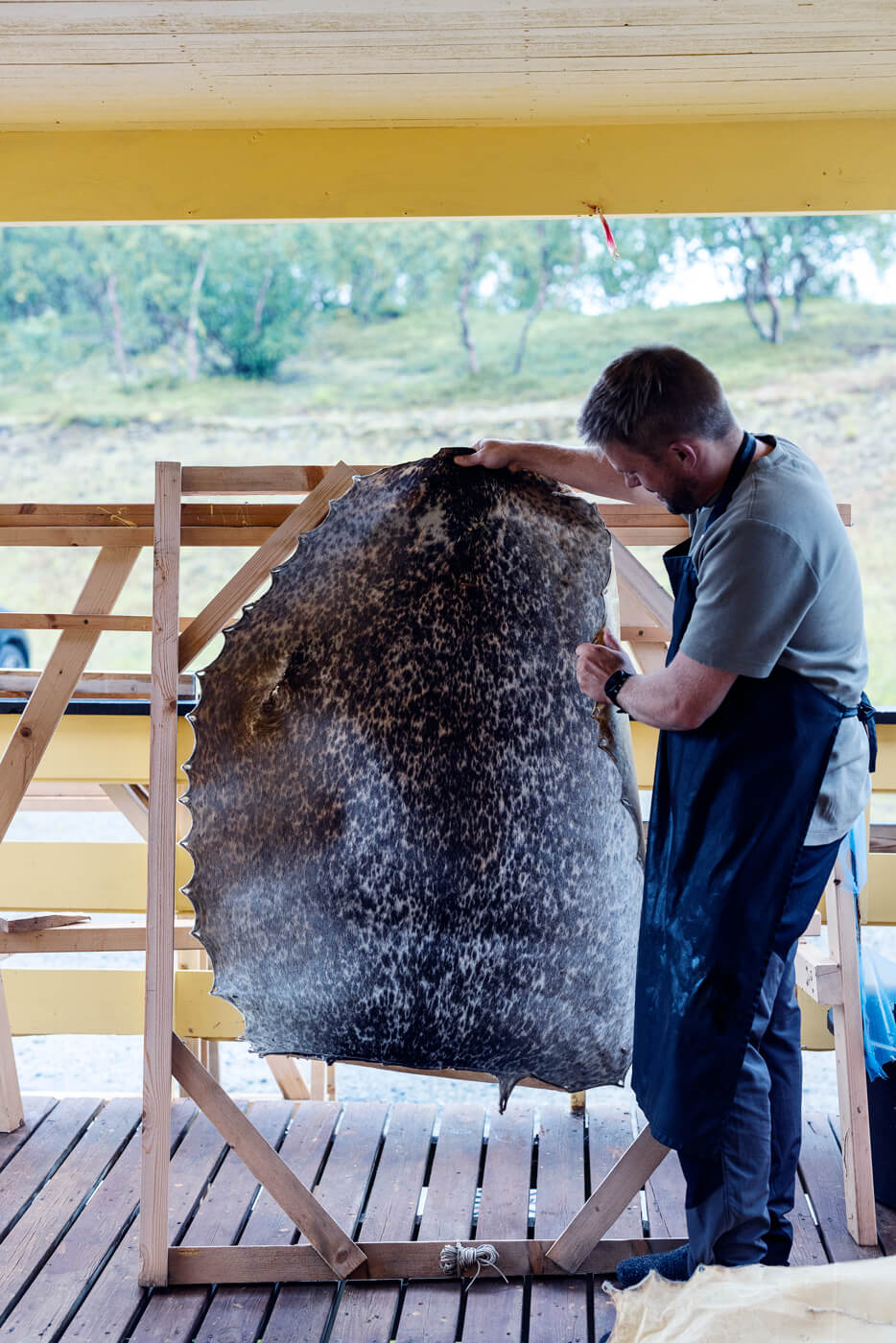 Duodji course: Seal skin mittens - Birgejupmi